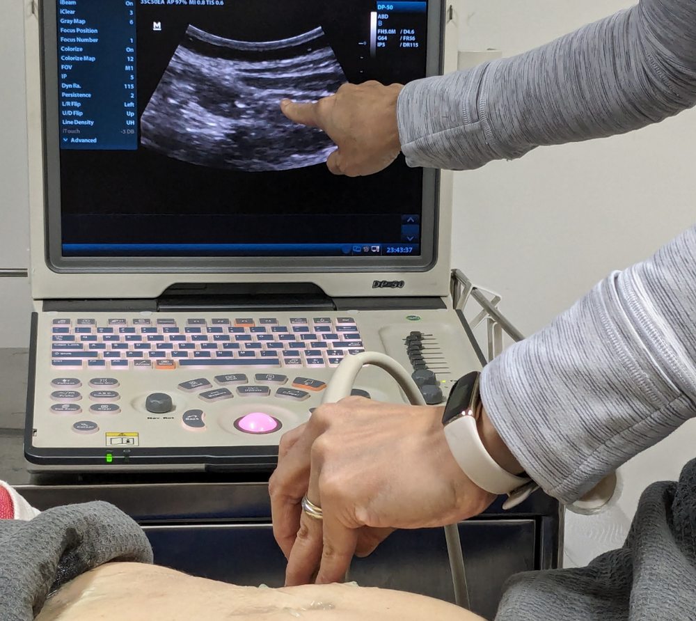 Man Pregnant Ultrasound Female Gynecologist Giving Advice While Doing